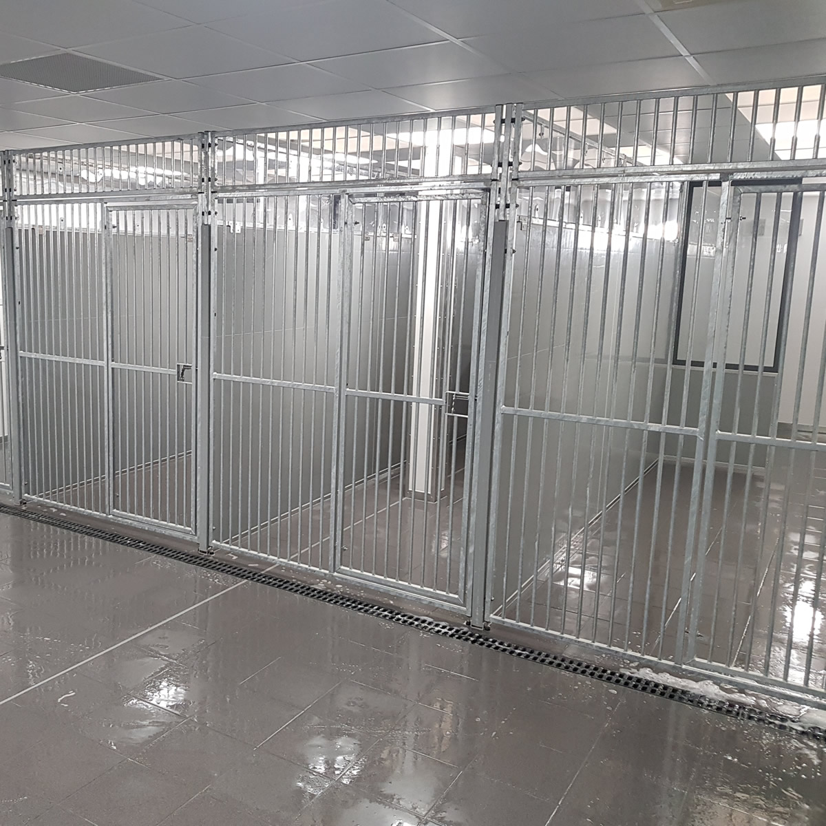 The Kennelbuild System (Kennelbuild)